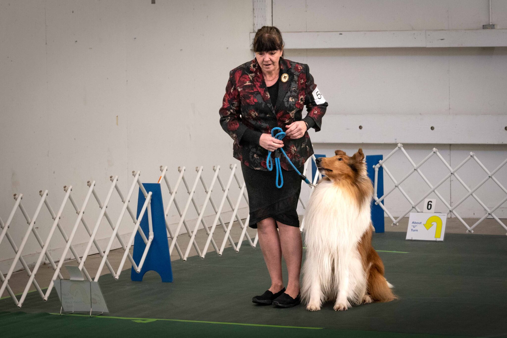 2023 All-Breed Obedience & Rally Trials – Overlake Collie Club